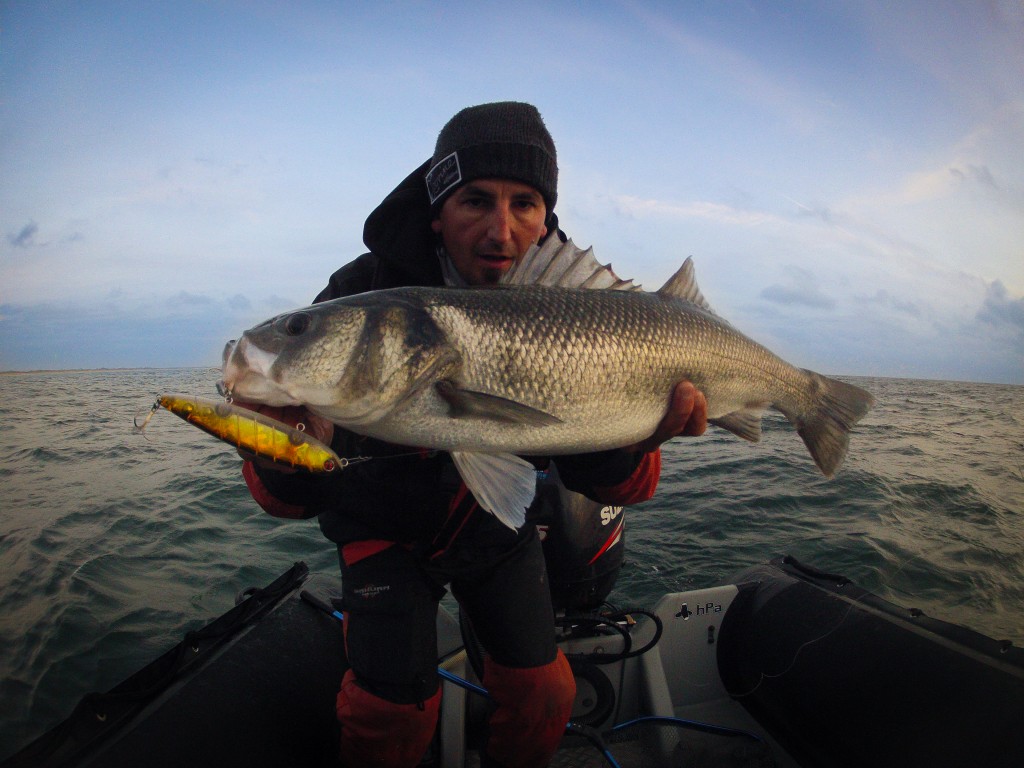 Gros bar au leurre de surface Volume 3: Sylvain